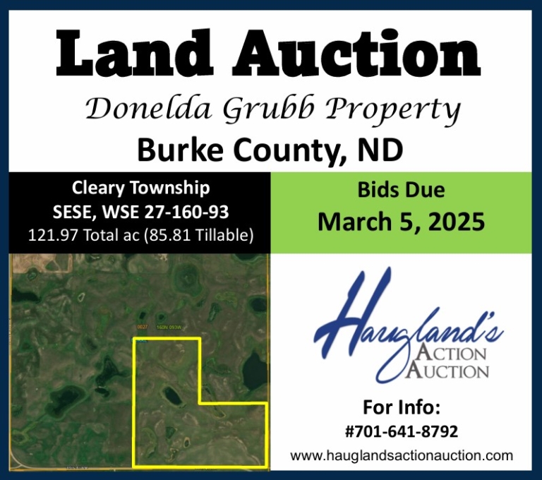Auctions – Haugland Action Auction